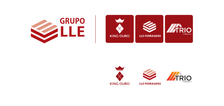 Logo Grupo Lle - 3 Logos | PDF