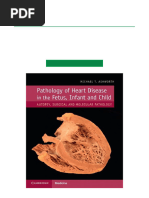 Ambulance Conduction Draft | PDF | Nursing | Hospital