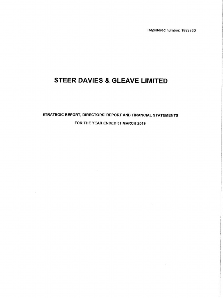 Steer Financial Audit | PDF