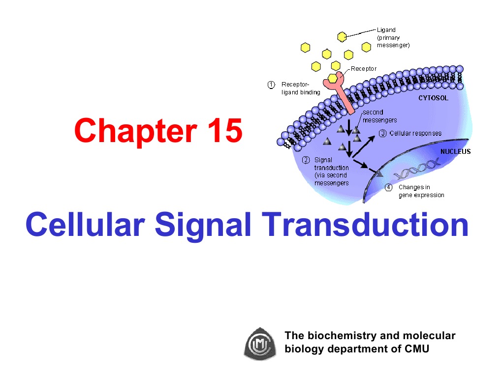 Cellular Signal Transduction: The Biochemistry and Molecular Biology ...