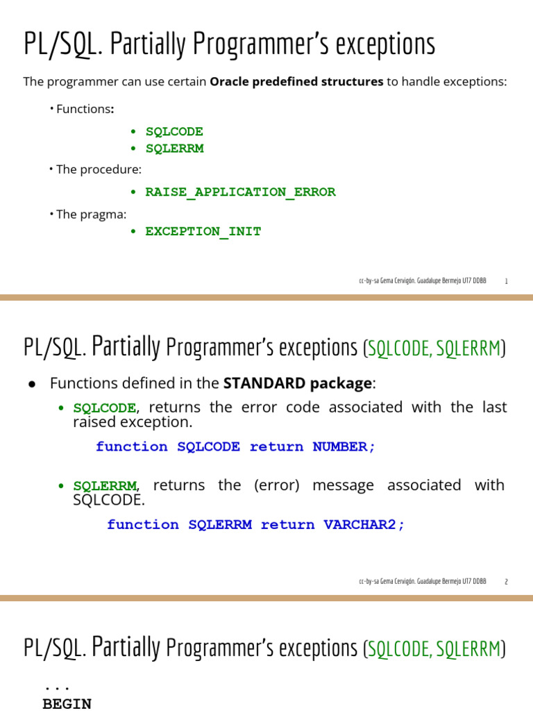 U6_ORACLE_PLSQL_2025_partial_programmer_exceptions_Students | PDF | Pl/Sql | Data Management ...