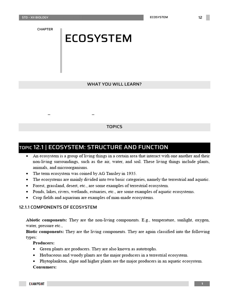 Chapter 12 Ecosystem Revised Pdf Food Web Ecosystem