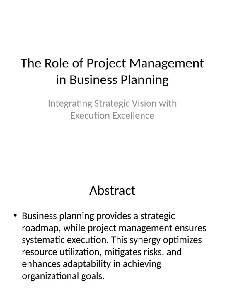 Project Management Business Plan Presentation | PDF | Project ...