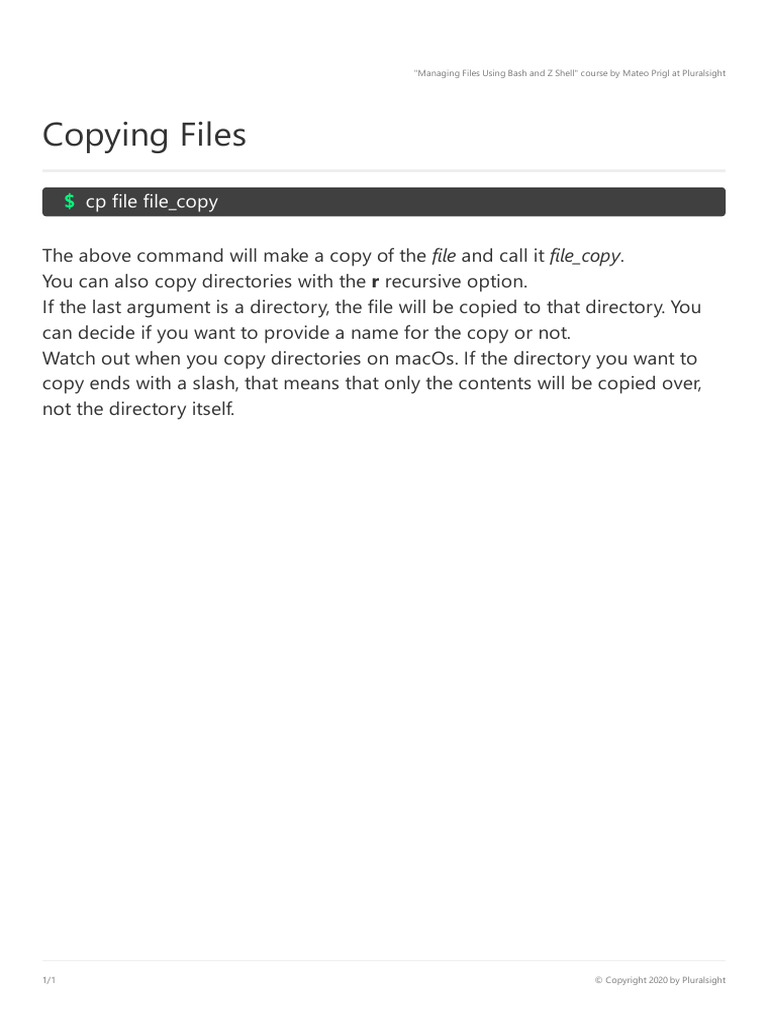 Copying Files | PDF