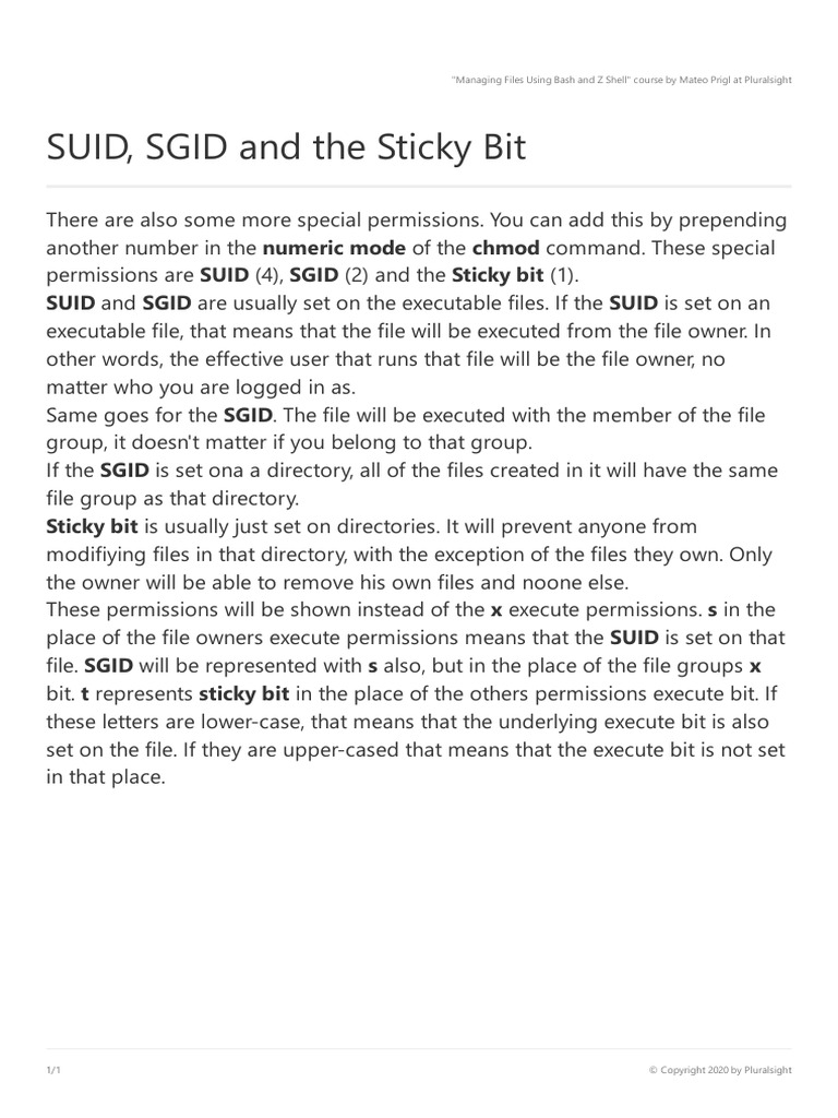 SUID SGID and The Sticky Bit | PDF