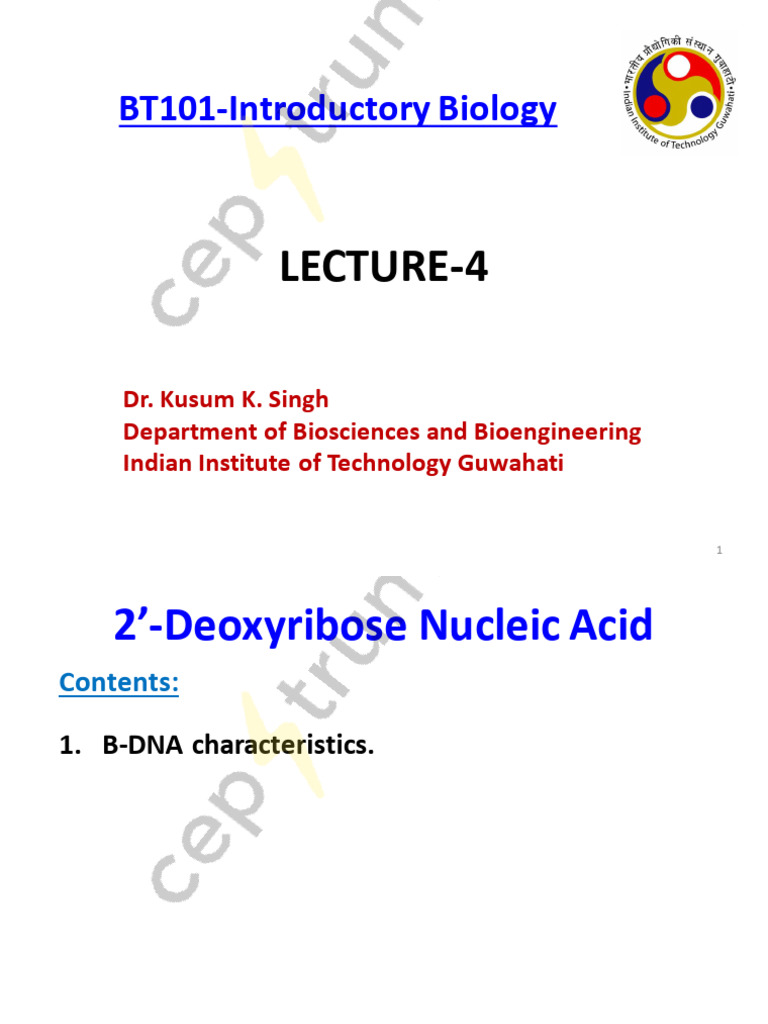 Lecture-4 - DNA Structure (1) | PDF | Nucleic Acid Double Helix | Dna