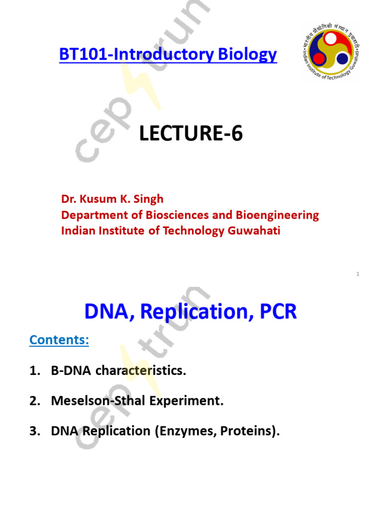 Lecture-6 -Replication, PCR, Sequencing | PDF | Dna Replication | Dna