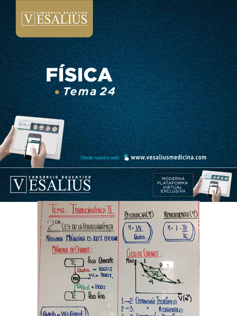 VESALIUS - Fisica - Pizarra - TEMA 24-Comprimido | PDF