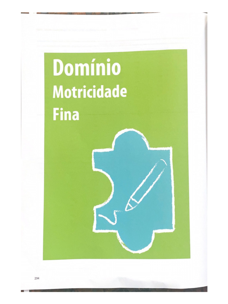 IDADI - Domínio - MOTRICIDADE FINA | PDF