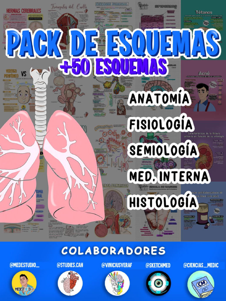 Anatomia - Esquemas | PDF