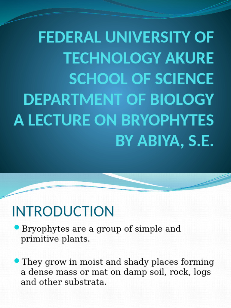 Bryophytes Power Point - ULTIMA EXP | PDF | Plant Morphology | Biology