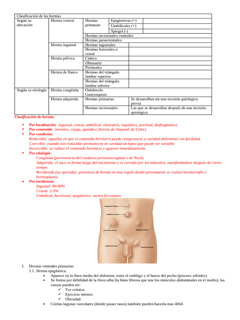 10 Clasificación de Las Hernias | PDF | Abdomen | Pelvis