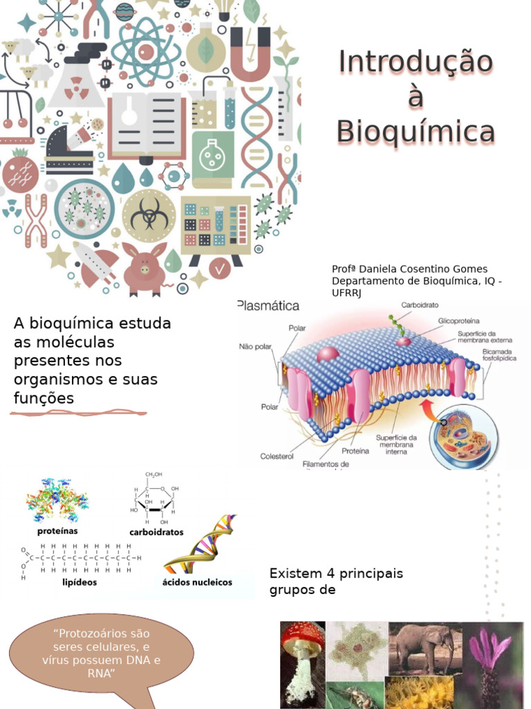 Aula 1 - Introduo Bioqumica | PDF | Célula (Biologia) | Organismos