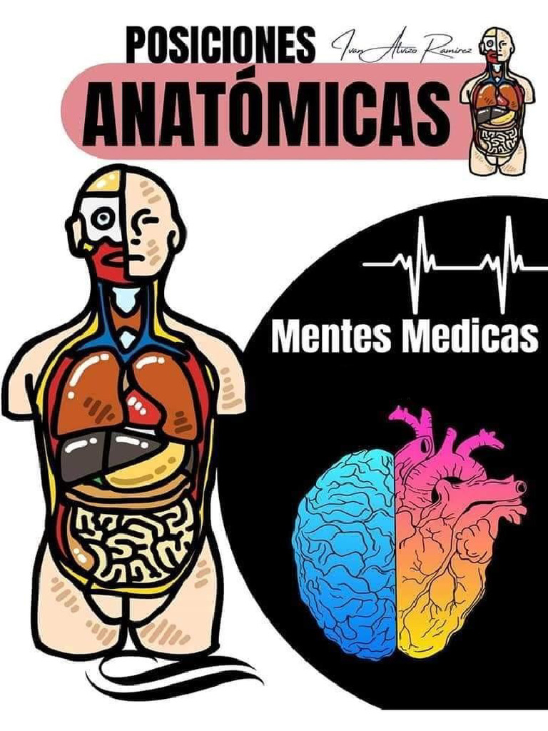 Posiciones Anatomicas | PDF
