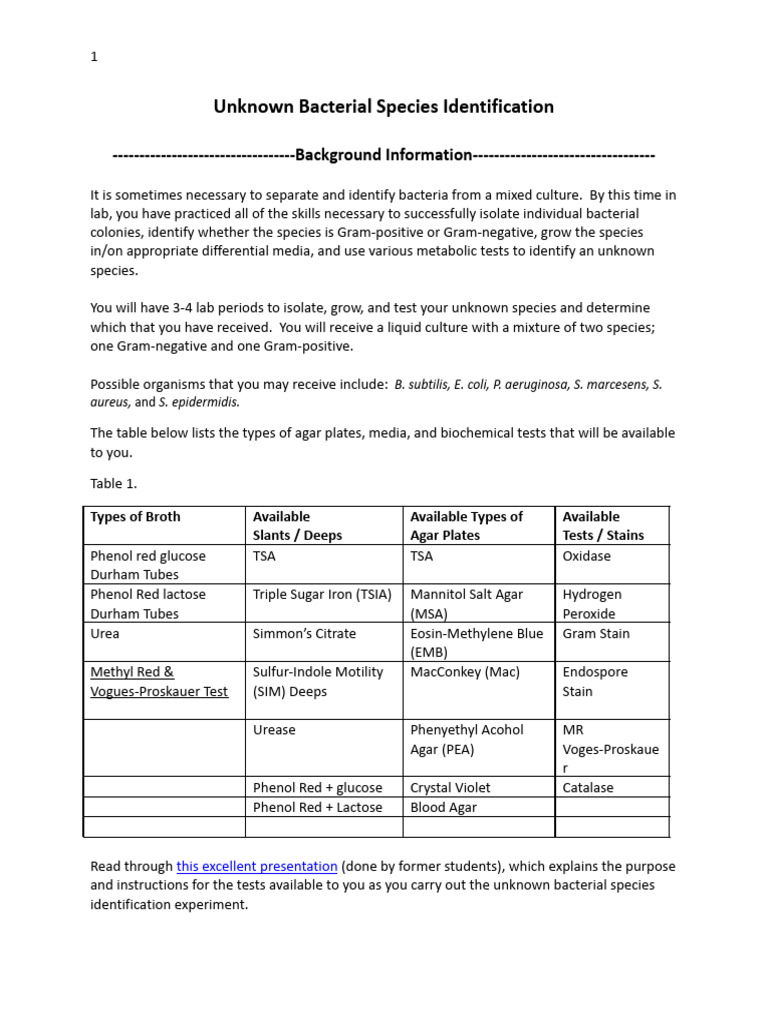 341 - Lab 8 Handout Unknown Bacterial Species Identification | PDF | Gram Positive Bacteria ...