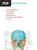 6 - Anatomie Des Os de La Face | PDF | Anatomie humaine | Appareil ...