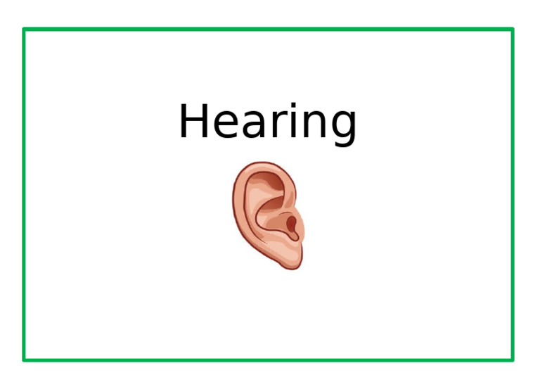 Hearing | PDF