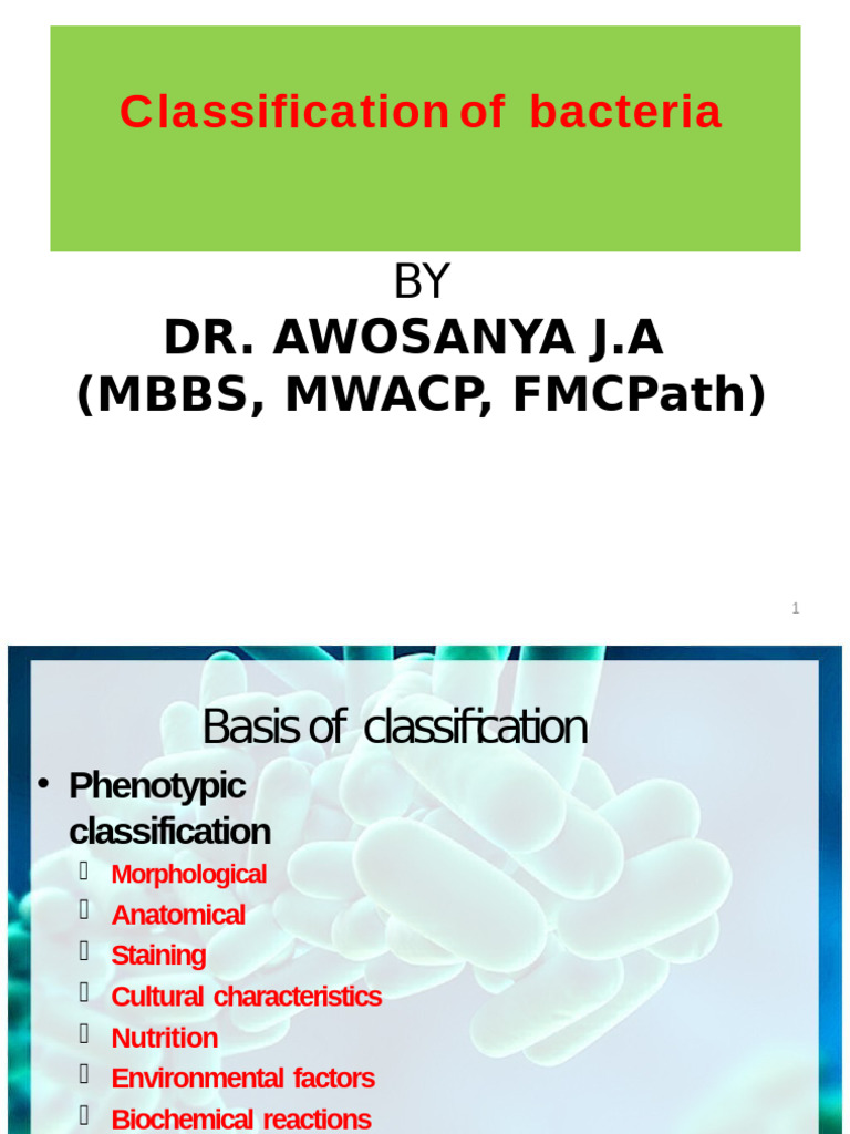 Classificationof Bacteria 1 | PDF | Bacteria | Organisms