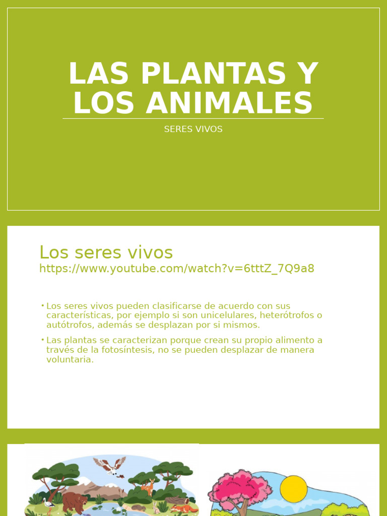 Las Plantas y Los Animales | PDF