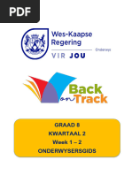 Graad 4 Begripstoets 2024 | PDF