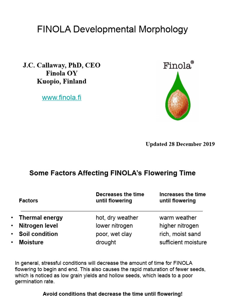 Finola Development and Morphology | PDF | Seed | Flowers