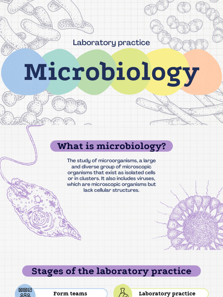 Laboratory Practice Microbiology Presentation in Pastel Colors Sketch Style | PDF | Microbiology ...