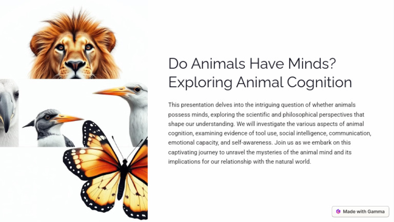 Do Animals Have Minds Exploring Animal Cognition | PDF