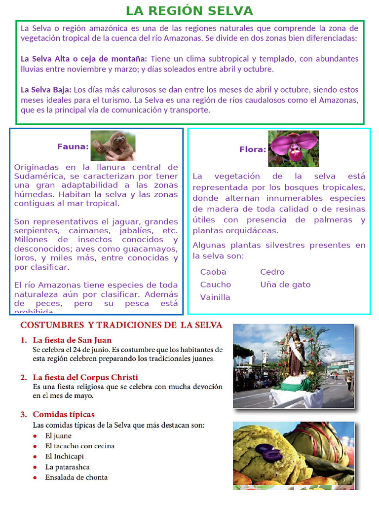 Flora y fauna de la región selva | PDF | Selva | río Amazonas