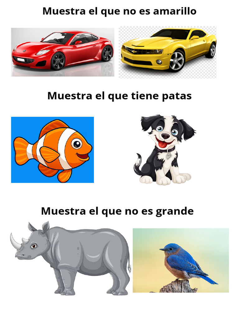 Comprensión Frases Afirmativas y Negativas | PDF