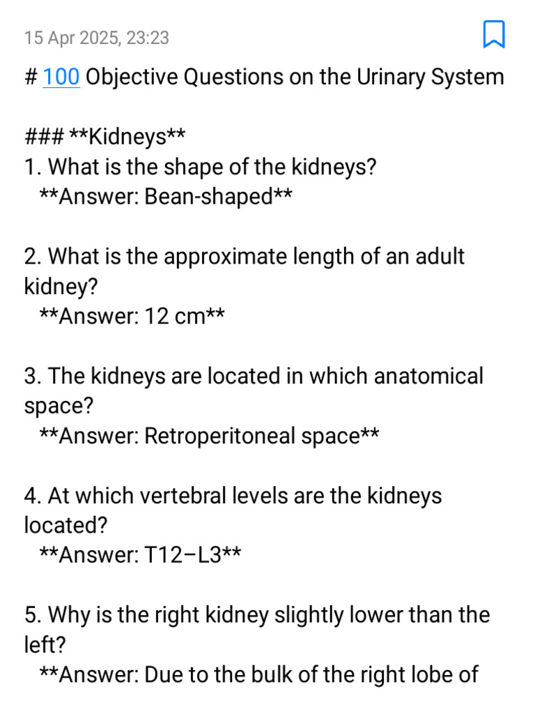 URINARY SYSTEM Tutorial Questions | PDF | Kidney | Prostate