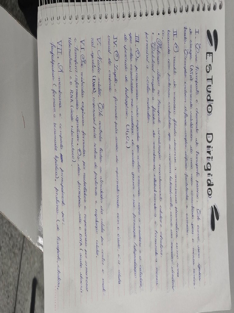 Estudo Dirigido | PDF