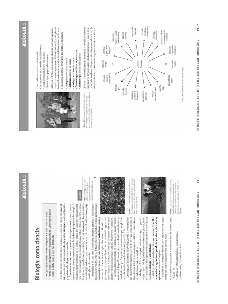 Dosier de Primer Año | PDF