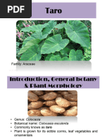 Dalo Farming Guide for Fiji | PDF | Soil | Weed