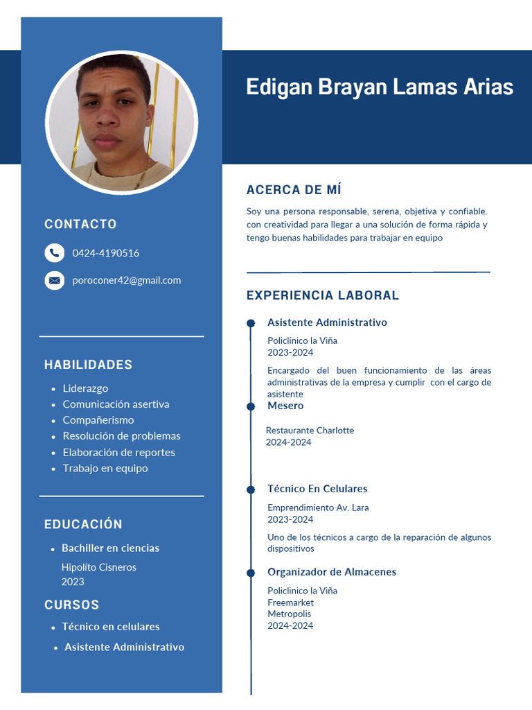 Curriculum Brayan Bueno | PDF