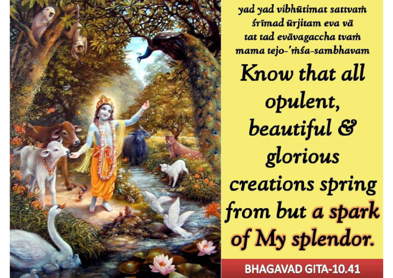 Spark of Splendor | PDF