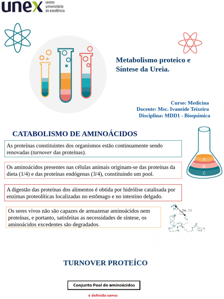 Aula 3 - Metabolismo Proteico e Síntese Da Ureia. | PDF | Proteínas ...