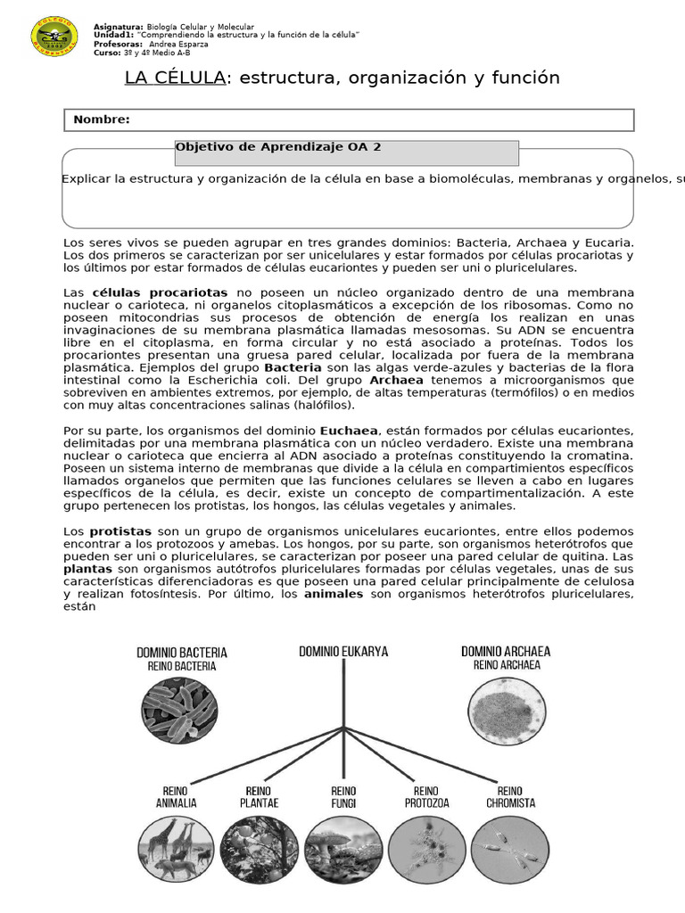 Clase 4. LEER EN CASA GUÍA DE APOYO CÉLULA | PDF | Biología Celular ...