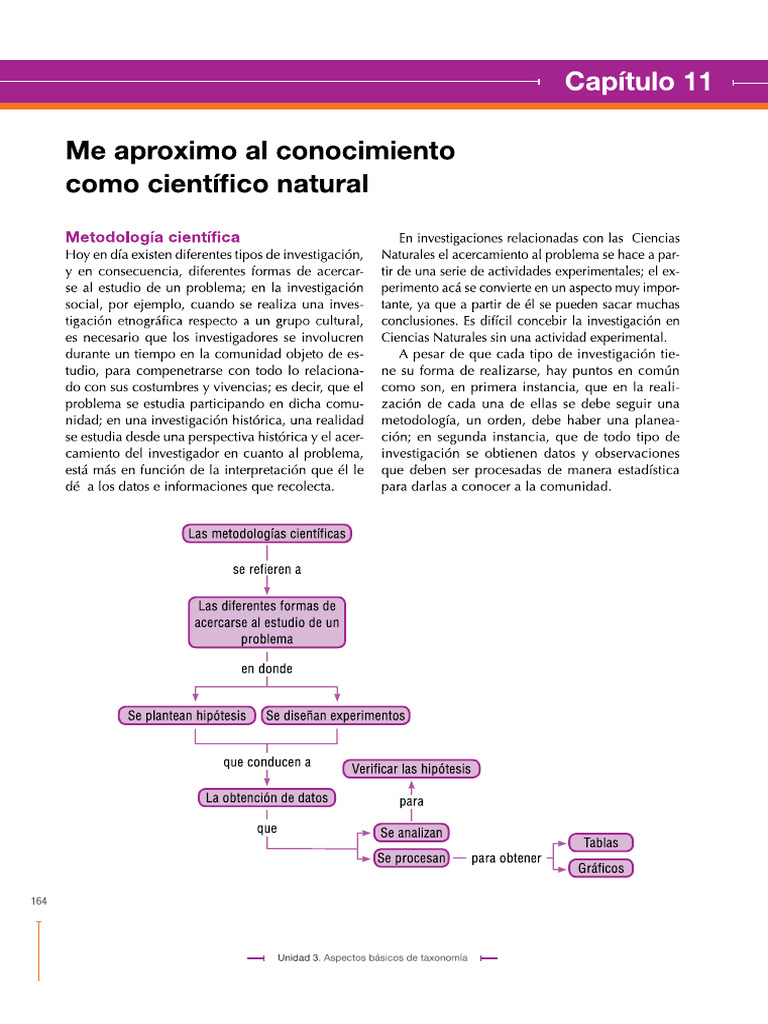 Metodología Científica Mapa Conceptual | PDF