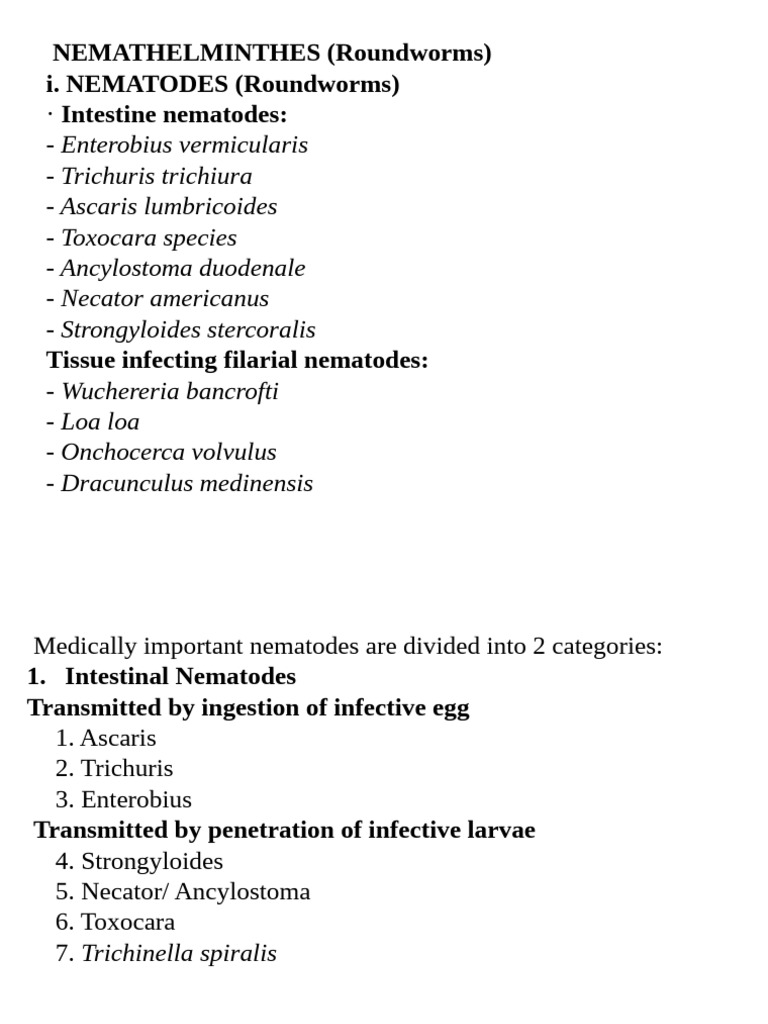 NEMATODES (Round Worms) | PDF | Nematode | Parasitology