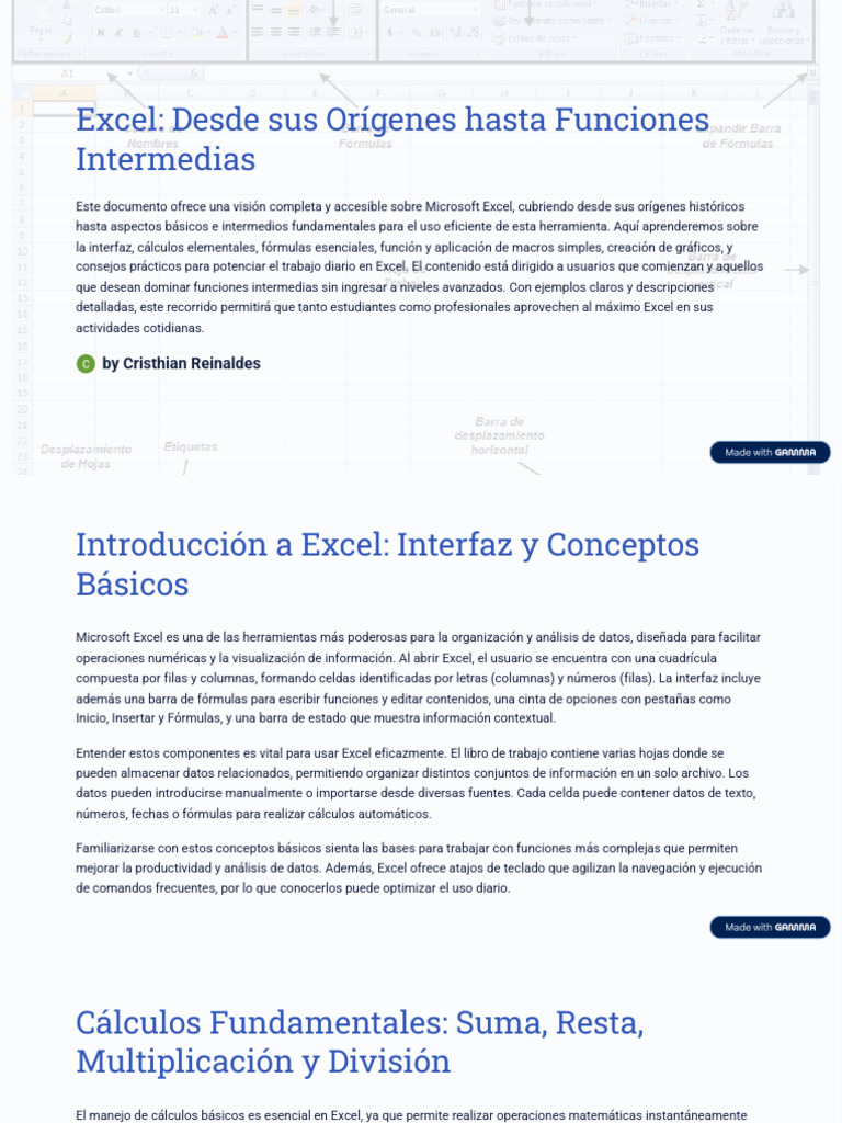 Excel Desde Sus Origenes Hasta Funciones Intermedias | PDF | Microsoft ...