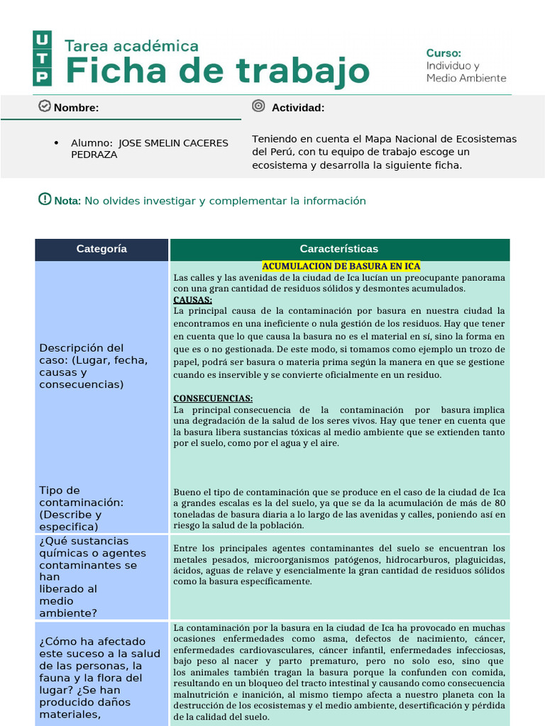 INDIVIDUO | PDF | Residuos | Contaminación