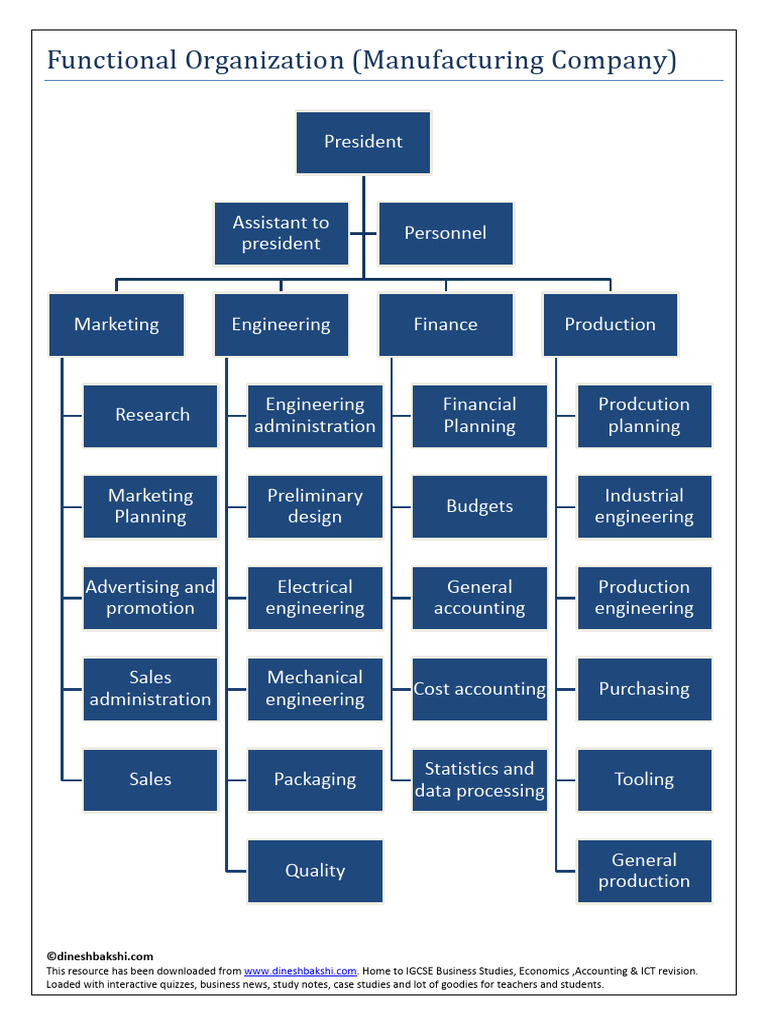 Functional Organization | PDF