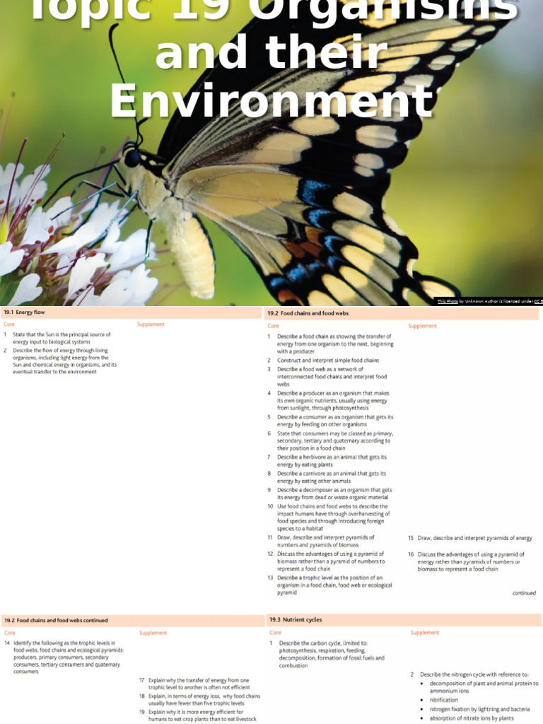 Energy Flow in Ecosystems Explained | PDF | Food Web | Nitrogen