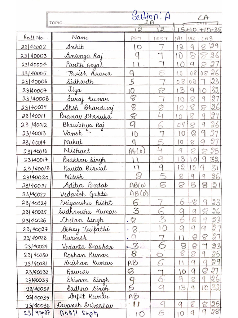 IB A Assessment | PDF
