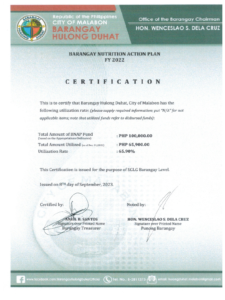 BNAP UtilizationCertificate | PDF