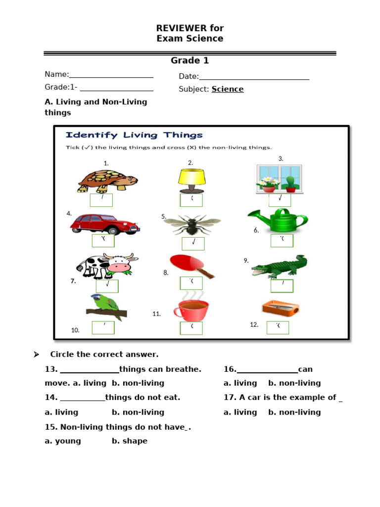 Science Review PU P1 (SAS 1) | PDF | Organisms | Botany