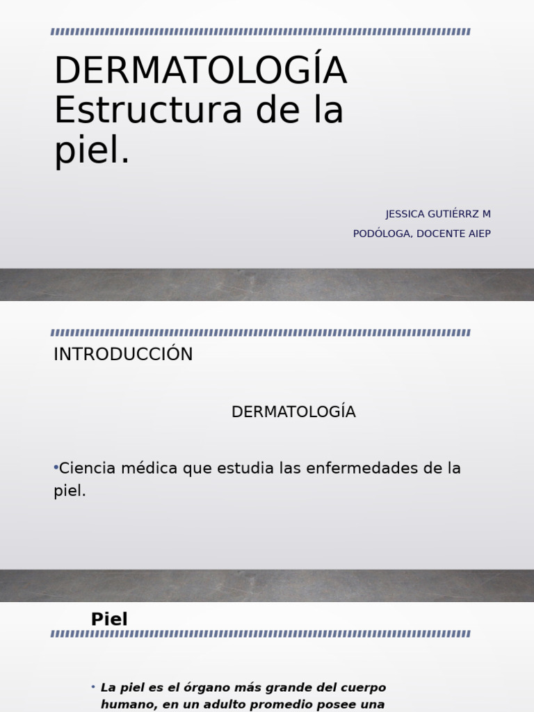 Estructura de La Piel | PDF | Piel | Clavo (anatomía)