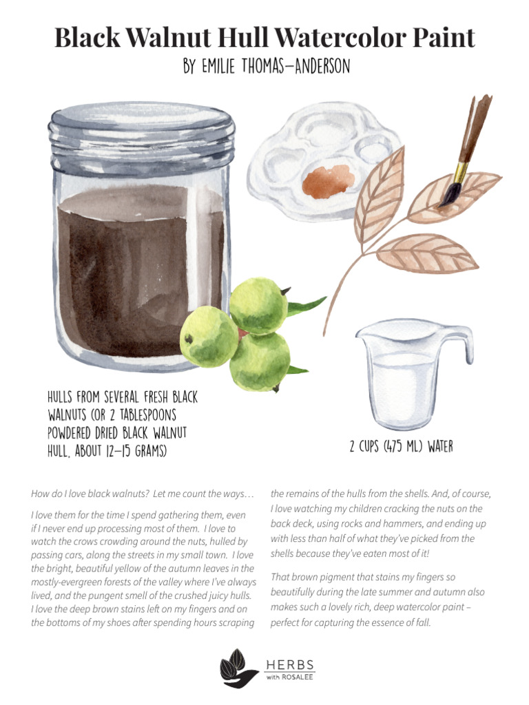 Black Walnut Hull Watercolor Guide | PDF | Paint