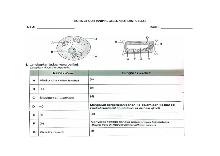 Quiz Animal Cells and Plant Cells | PDF