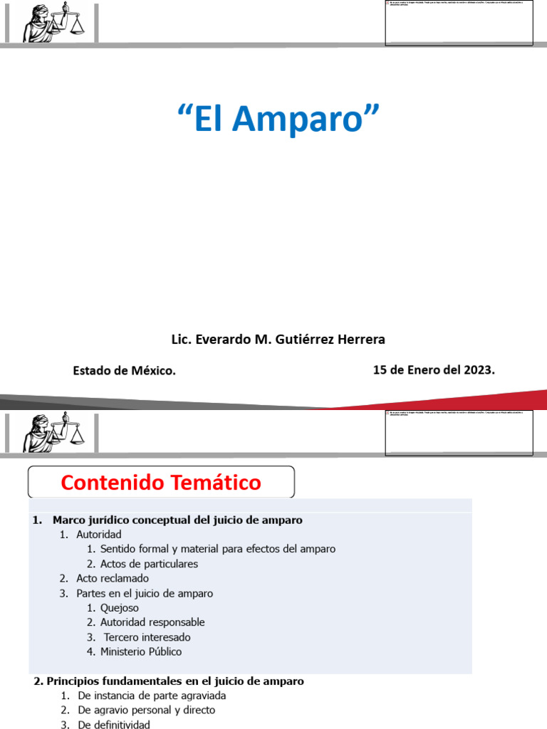 Guía Completa del Juicio de Amparo en México | PDF | México | Justicia